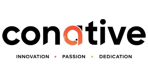 Conative IT Solutions | Best Website Design & Development Services In ...